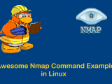 20 Awesome Nmap Command Examples In Linux