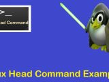 8 Head Command Examples In Linux