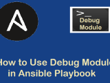 How To Use Debug Module In Ansible Playbook