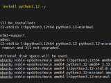 How To Install Python 3 12 On Ubuntu 24 04