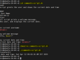 How To Add Comments In Shell Scripts With Examples
