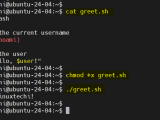 How To Add Comments In Shell Scripts With Examples