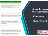 Basic Linux Commands 20 Essential Commands Every Beginner Should Know
