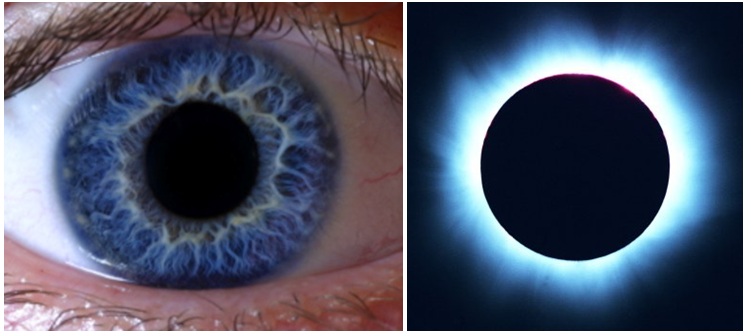 Private Eyes: The Masonic Symbolism in True Detective’s “Church in ...