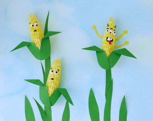 Top 10 Fascinating Facts About Corn