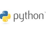 Hot Build Your Own Search Engine Python Programming Series