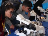 Stem Explorers
