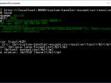 Spring Mvc Creating A Custom Handlerexceptionresolver