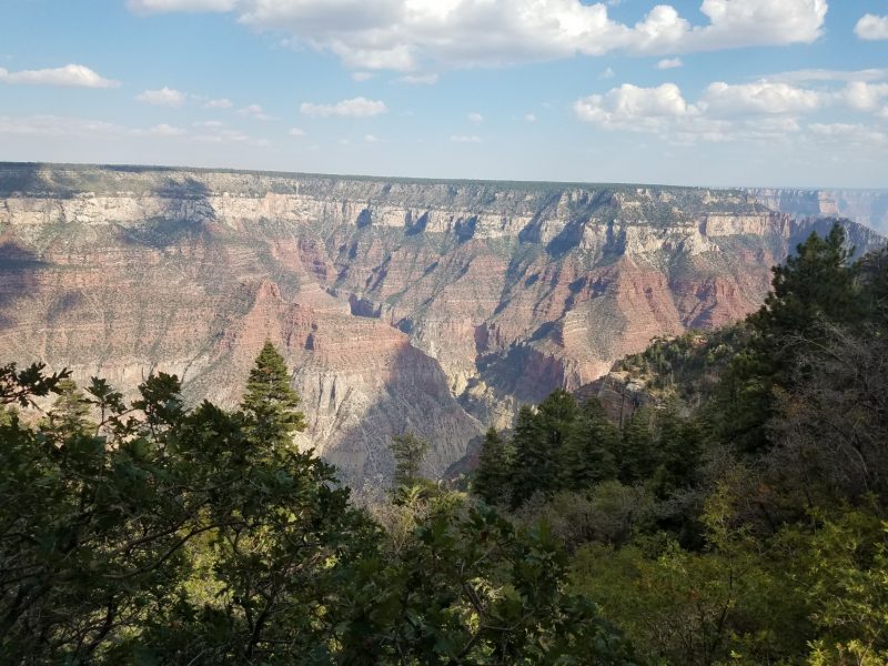 Jacob's Lake & North Rim of the Grand Canyon - Lorraine Bossé-Smith