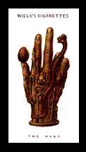 Hand of Power | The Seven Worlds