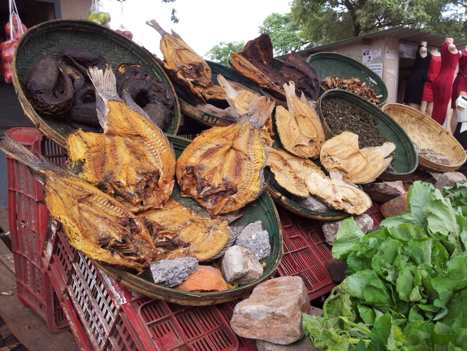 Zambia : Why is Zambia importing 40,000 tons of fish every year?