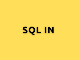 Sql In Sql In With Practical Examples Machine Learning Plus