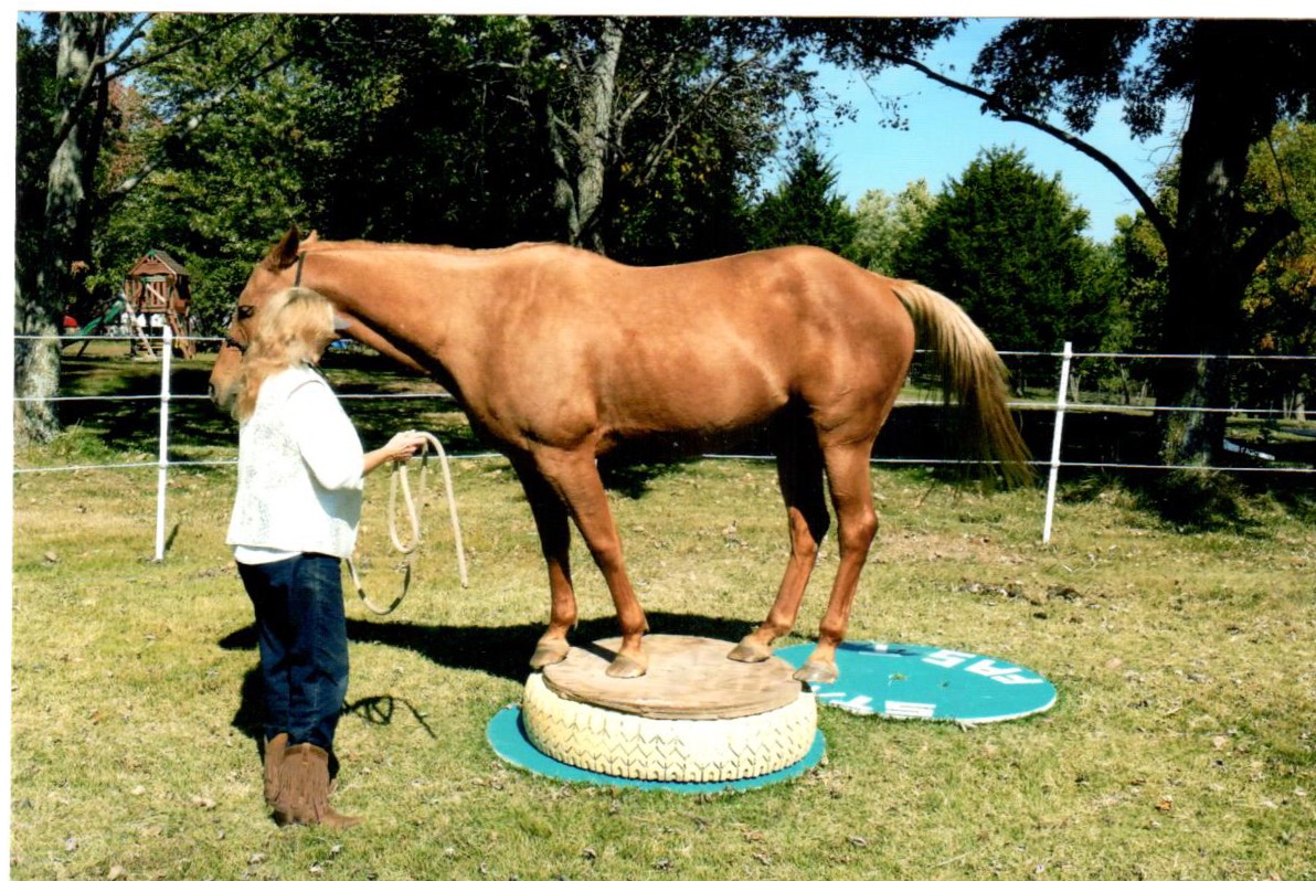 StandFast Course Photos - Mairzy Doats (Mares Eat Oats)