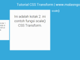 Css Transform Scale Example
