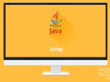 Pembahasan Array Pada Java Malasngoding