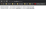 Regular Expression Pada Php Malas Ngoding