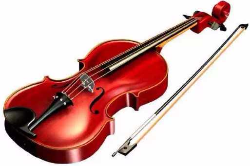 √ Harga Biola Terbaru dan Tips Lengkap Sebelum Membelinya