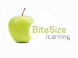 What Is Bite Sized Learning Manaarah