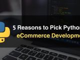 5 Reasons To Pick Python For Ecommerce Development