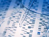 Best Master S In Biomedical Engineering Degree Programs