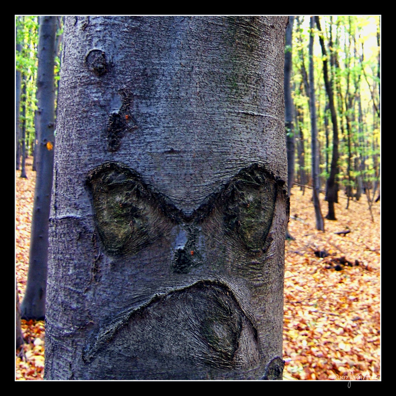 Epic Knee: A Tall Tale | mbeb