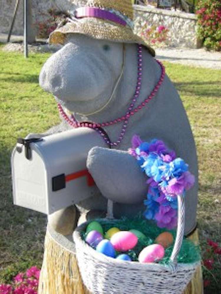 manatee easter • McCool Travel