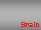 Understanding Basic Brain Integration Mental Training Program