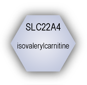 rs272889: SLC22A4 (OCTN1) and acylcarnitines – Human Metabolic ...