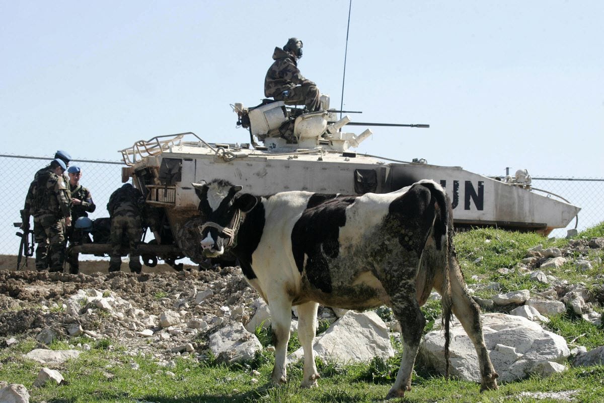 Lebanese herders, Israeli military row over cows grazing near border ...