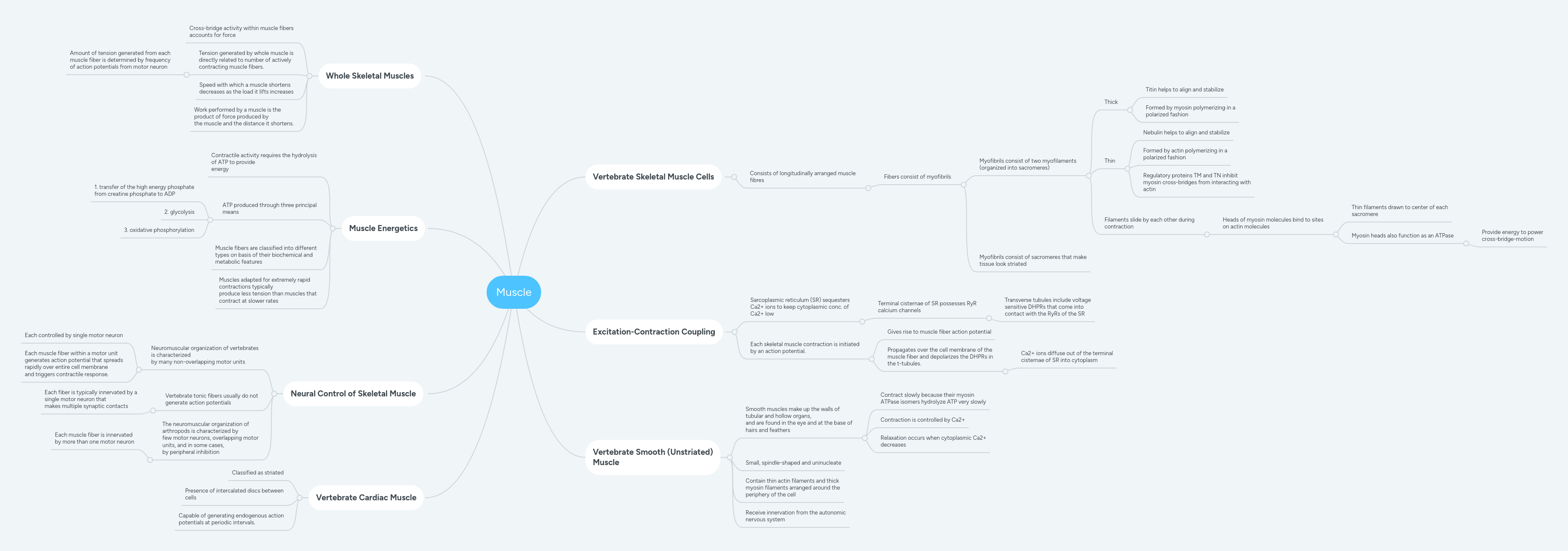 Mind Mapping Crear Mind Maps En Línea Mindmeister