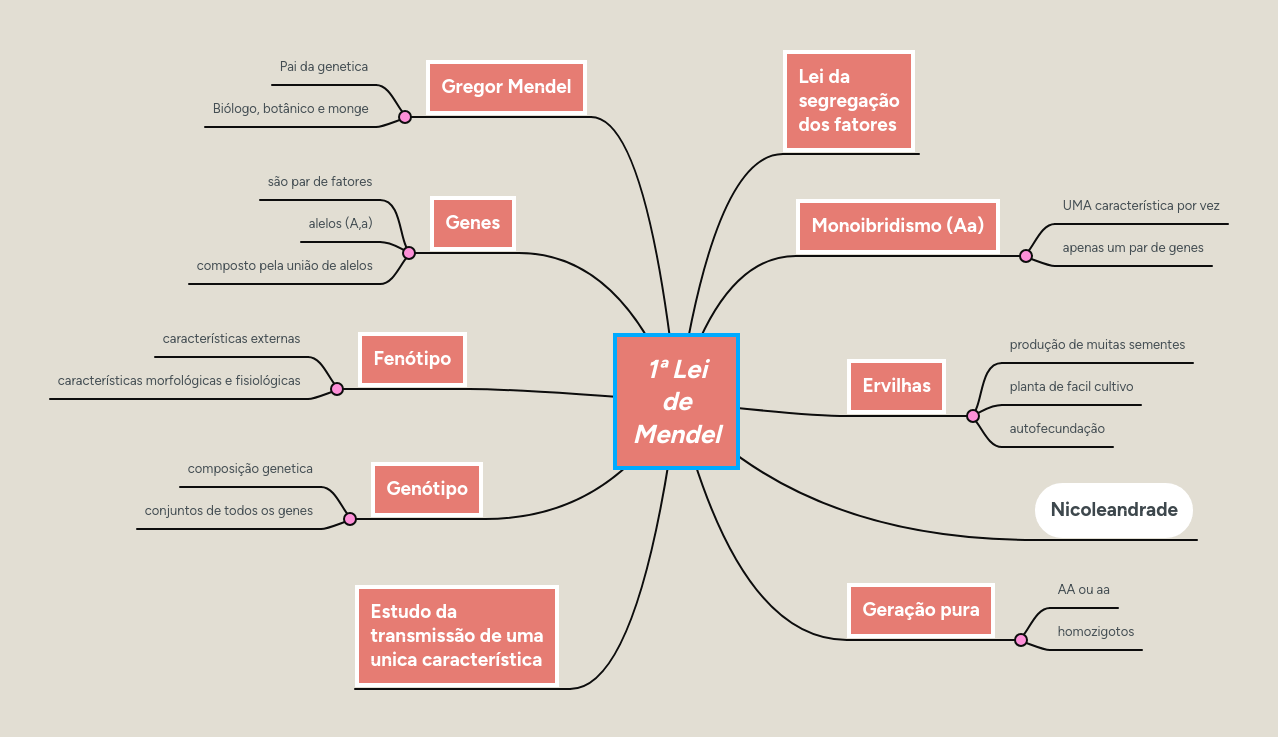 Mind Mapping Crear Mind Maps En Línea Mindmeister