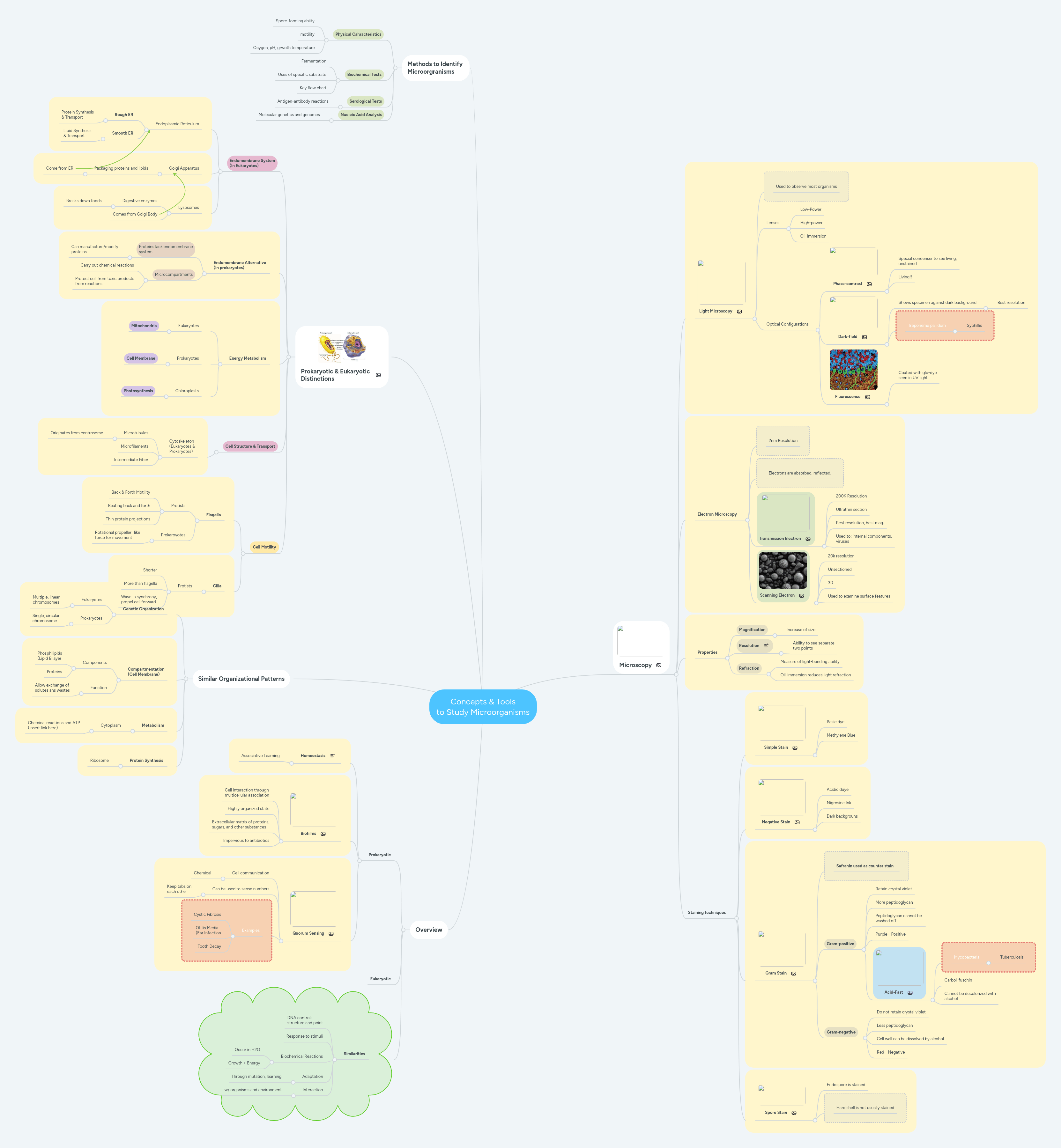 Concepts Tools To Study Microorganisms Mindmeister Mind Map