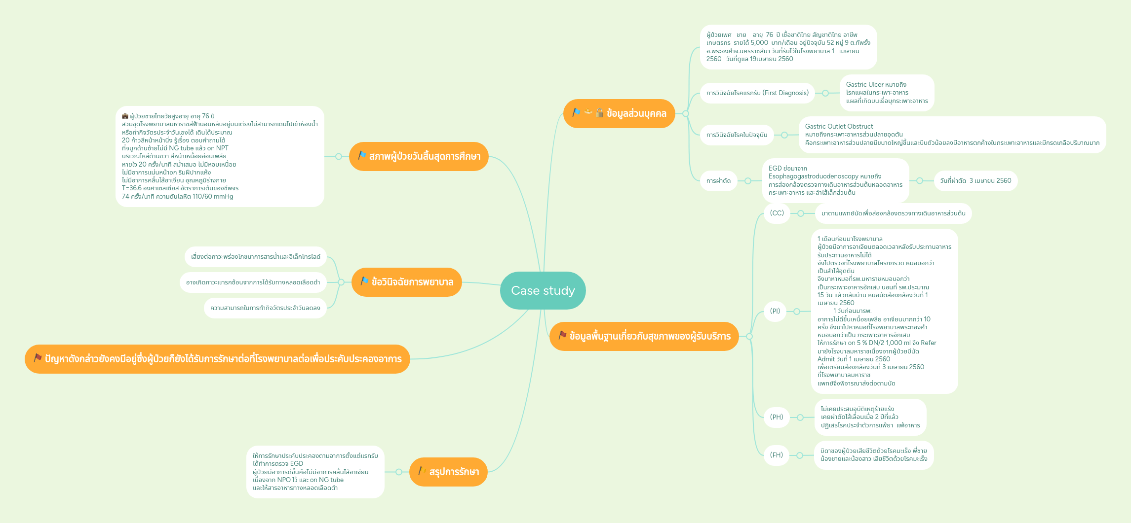 Case Study Mindmeister Mind Map