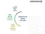 Offline Application Development Using Sap Mobile Development
