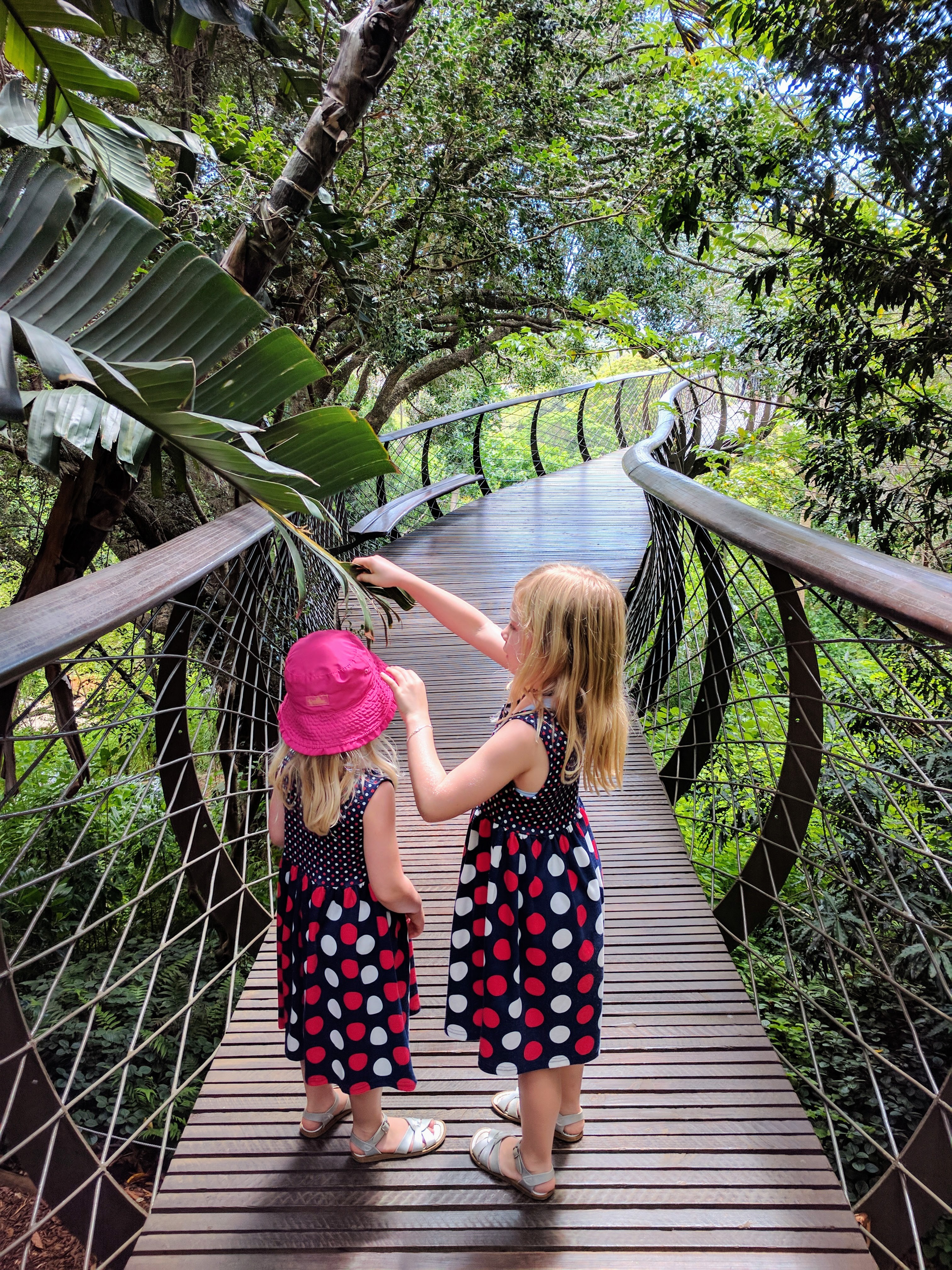 Our Top Favorite Family Friendly Places In South Africa Mom In Zurich our-top-favorite-family-friendly-places-in-south-africa-mom-in-zurich