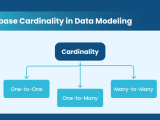 Database Cardinality Definition