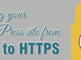How To Move A Wordpress Website From Http To Https 2021