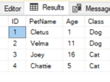 Sql Cheat Sheet For Select Insert Delete And Update Commands