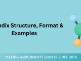 Appendix In Your Dissertation Structure Format And Examples