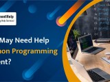 Why You May Need Help With Python Programming Assignment