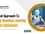 A Methodical Approach To Addressing Machine Learning Assignment