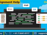 Programming Assignment Help Online Tutoring Sessions