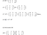 Matrices Assessment Answers