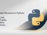 When To Use List Tuple Set Or Dict In Python