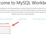 Mysql Drop Database