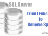 Trim Function To Remove Space In Sql Server My Tec Bits
