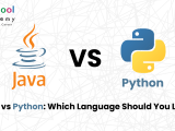 Java Vs Python Which Should You Choose Nschool Academy