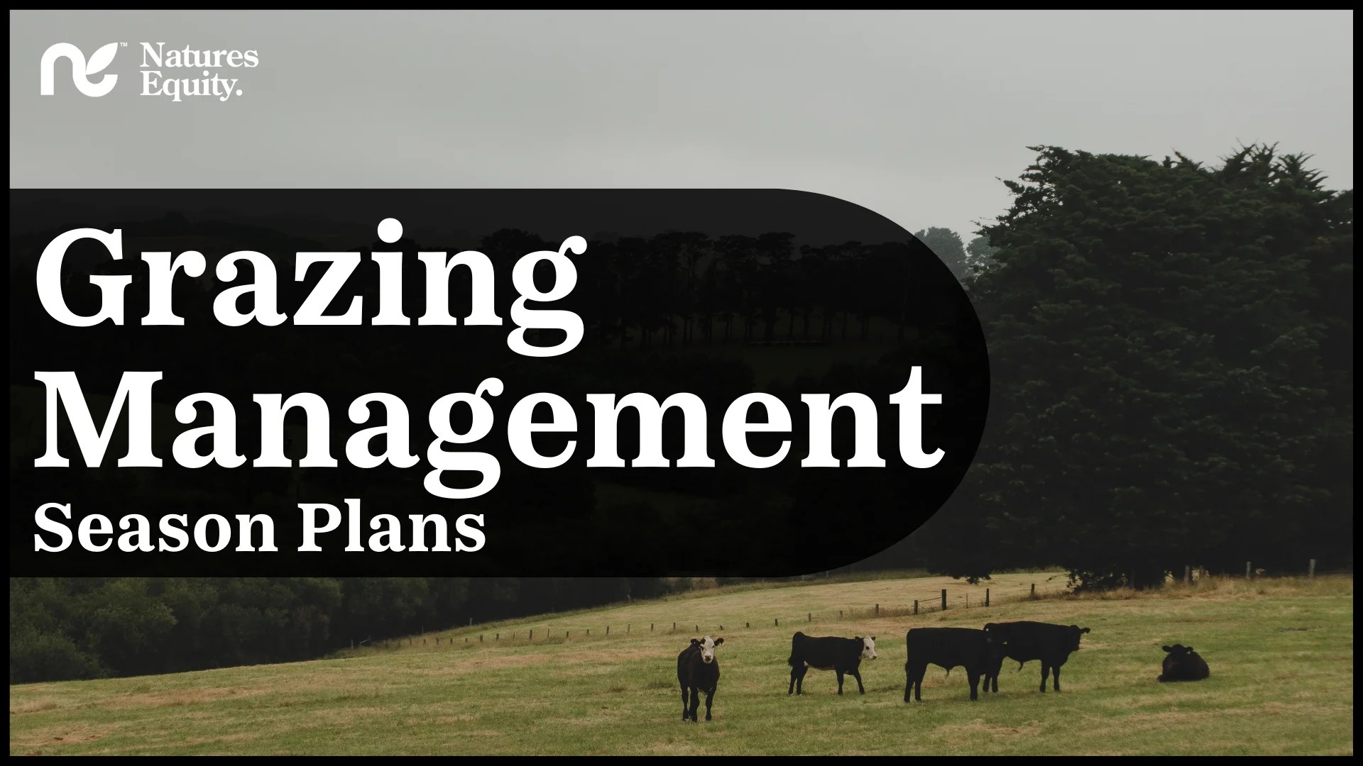 Grazing Management Season Plans Natures Equity