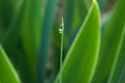 Chag haMatzah 2017: VII. Farewell Chaverim! | Messianic Evangelicals