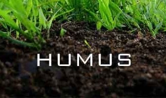 The Path of Humility: What It Means for the Self | Messianic Evangelicals